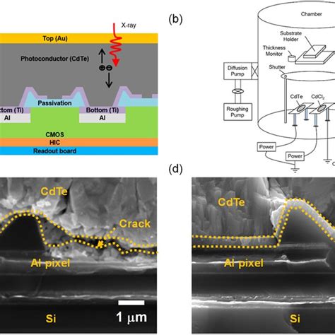 A A Schematic Cross Section Of P Type Cdte Schottky Diode