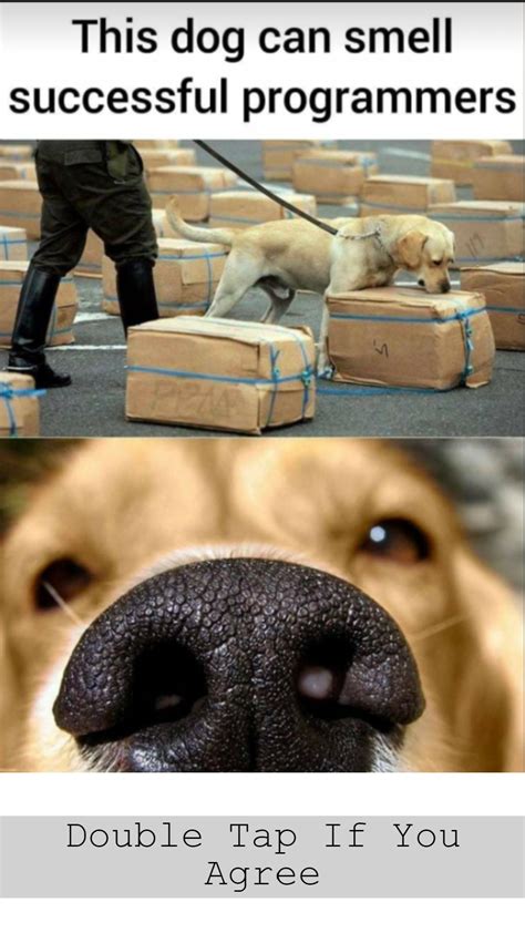 Tahar Ayadi On Linkedin Programming Softwareengineering Softwaredevelopment Coding 16