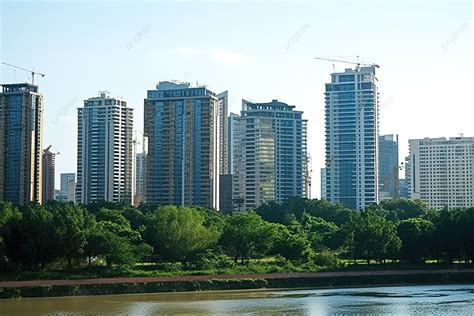 高大的摩天大樓和河邊的樹木 建造 工地 建築學背景圖片和桌布免費下載