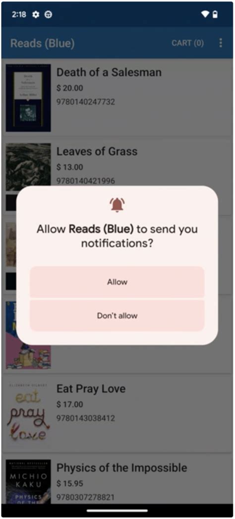 Push Notifications With Android 13 Blueshift