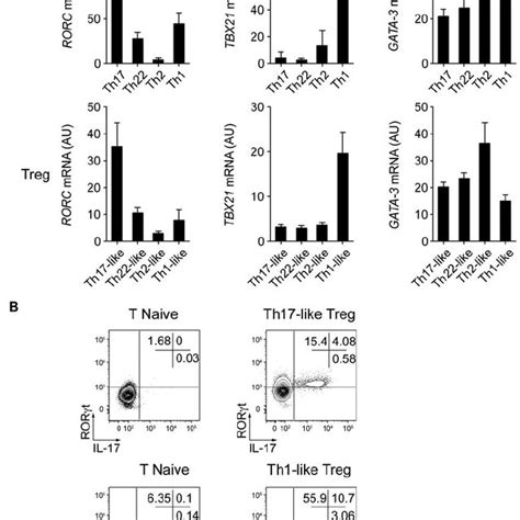 Chemokine Receptor Expression Defines Human Treg Cell Subsets A