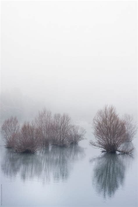 Lake Landscape In The Morning Mist By Stocksy Contributor Blue