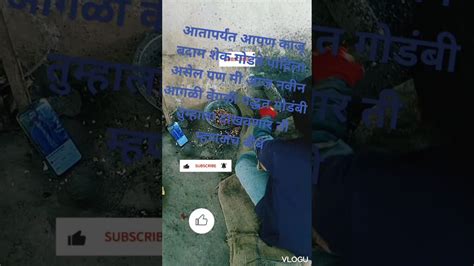 आतापर्यंत आपण आज काजू बदाम ची गोडंबी बघितली असेल पण आज तुम्हाला