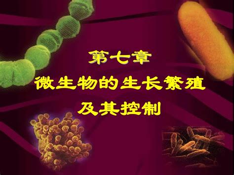 第七章微生物生长及其控制word文档在线阅读与下载无忧文档