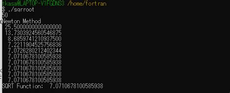 Fortranコーディング書式、read Write