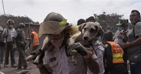 Guatemalas Fuego Volcano Eruption Toll Rises To 75 Around 200 Missing
