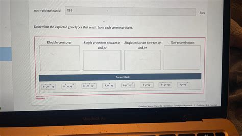 solved non recombinants 814fliesdetermine the expected