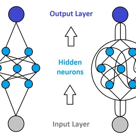 Feedforward And Recurrent Network Architectures Left Feedforward