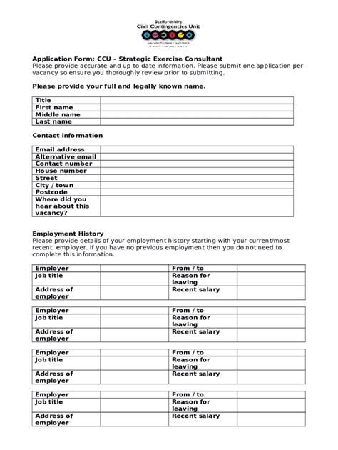 Application Strategic Exercise Consultant Doc Template Pdffiller