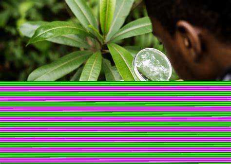 Babsc Environmental Studies Syllabus And Subjects Latest And Updated