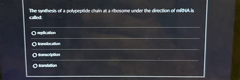 Solved The Synthesis Of A Polypeptide Chain At A Ribosome