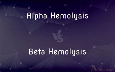 Alpha Hemolysis Vs Beta Hemolysis — Whats The Difference