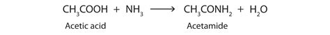 Chapter 5 Amines And Amides CHE 120 Introduction To Organic