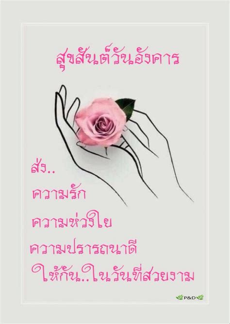 วันอังคาร🌿🌸 วันอังคาร มีความสุข วาเลนไทน์