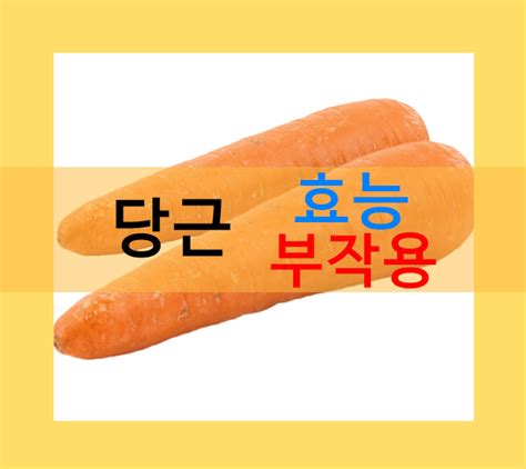 당근의 효능 부작용 칼로리 보관방법 손질방법 주의사항 궁합음식