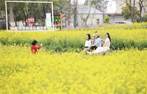 新视野推进中国式现代化系列谈 处理好战略与策略的关系要闻中央纪委国家监委网站