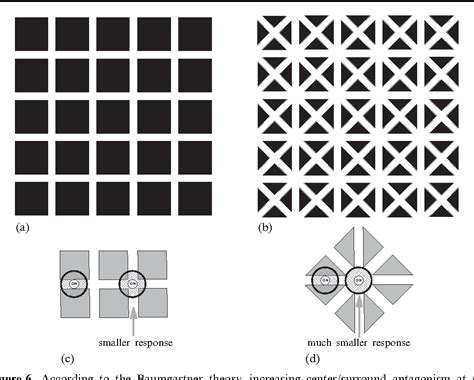 Figure 6 From The Hermann Grid Illusion Revisited Semantic Scholar