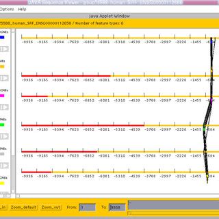 Graphical Multiple Alignment View JAVA Applet Multiple Alignment