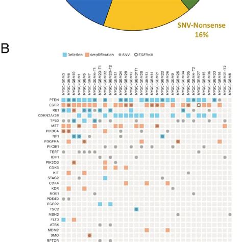 Wgs Vs Focused Ngs Panel Comparison Number Of Calls Made Based On Wgs Download Scientific
