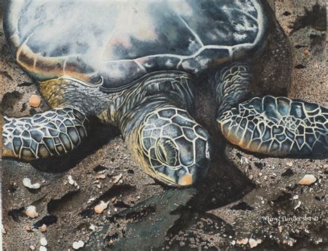 BASKING IN HAWAII Mary Ellen S Art Studio