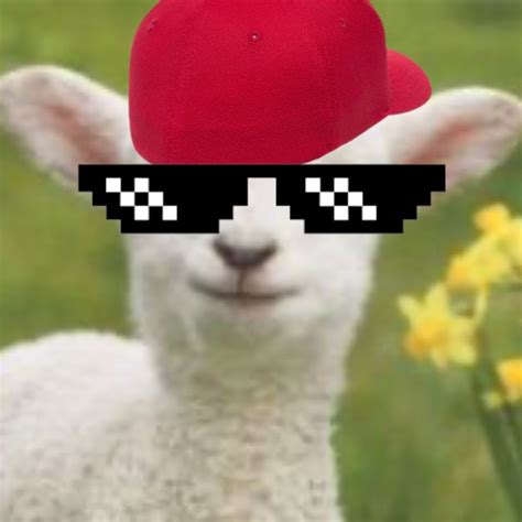 Sheepo Productionz Youtube