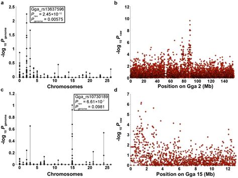 After 100000 Permutations The Genome Wide Adjusted P Values