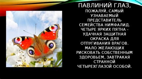Презентация по изобразительному искусству на тему Узоры на крыльях бабочек класс
