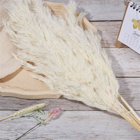 אקססוריז בוהו שיק לבית לבית ולגן 🏠 Story Shop