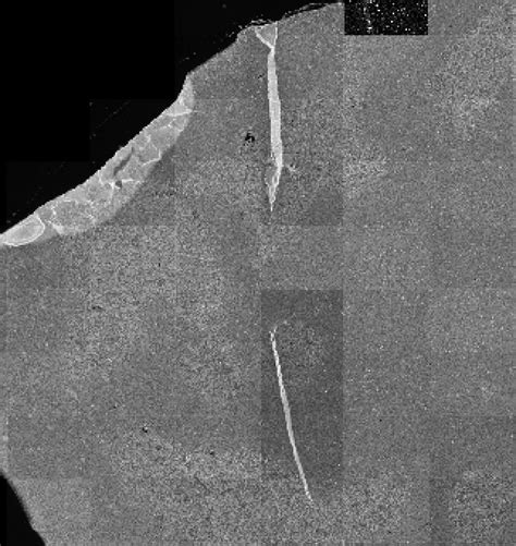 How To Solve Tiling Issue By ImageJ Image Analysis Image Sc Forum