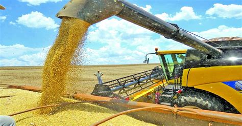 R 1189 Bilhões Valor Da Produção Agropecuária Do Brasil
