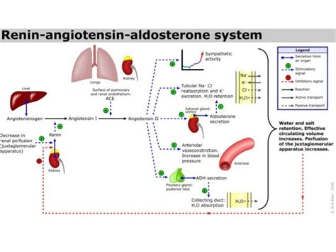 Hyperaldosteronism 3 26 14