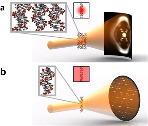 Sketches Of A Fiber Diffraction As Re Created From The Setup Of Download Scientific Diagram