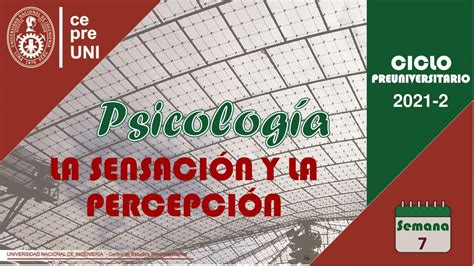 La Sensación Y La Percepción Roiser Leiva Montalvan Udocz