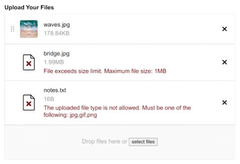 gravity forms file upload pro gravity perks gravity wiz