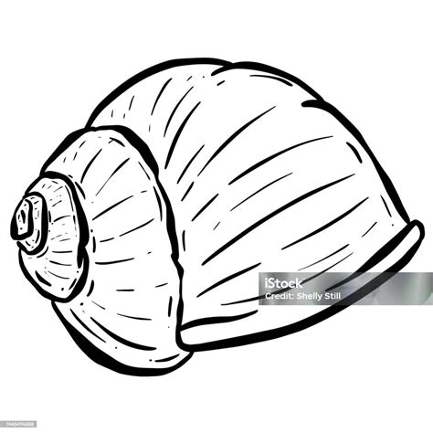 Conch Sea Snail Shell Outline Cartoon Style Logo Design In Vector Stock