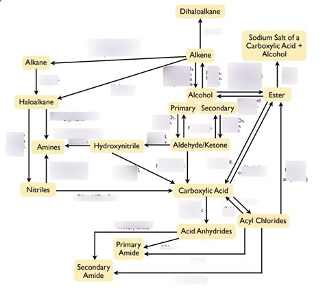 Synthetic Routes Part Diagram Quizlet