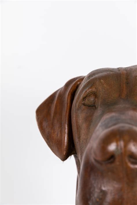 Lucas Stone Great Dane Bust — Antiques Workshop Exceptional Vintage