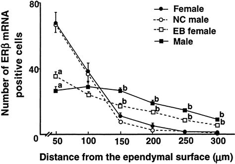Sexually dimorphic expression of estrogen receptor β in the anteroventral periventricular