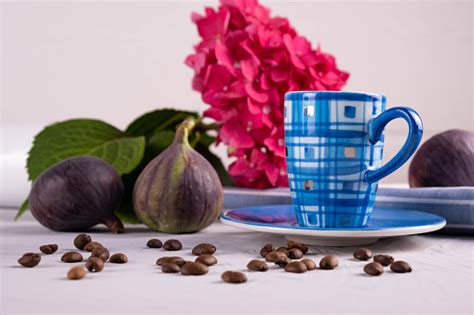 파란색 그래픽 커피 컵 커피 콩 산재 회색 질감 배경에 무화과 3 개 분홍색 수국 거친에 대한 스톡 사진 및 기타 이미지 거친 꽃 식물 녹색 Istock