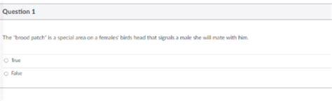 Solved Question 1 The Brood Patch Is A Special Area On A Chegg