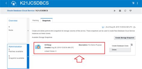 Oracle Database Cloud Cloning Using Snapshot