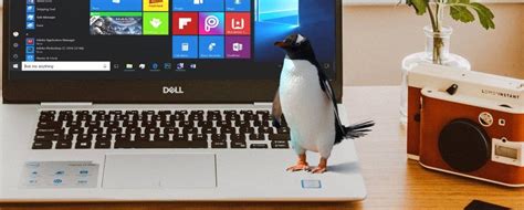 如何在windows和linux之间传输和共享文件 双电网pcpcme