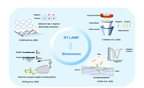 Other Biosensors Detection Methods Based On Loop Mediated Isothermal Download Scientific