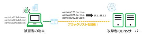 Dns入門 基礎から分かる「dga（ドメイン生成アルゴリズム）」とは｜infoblox公式