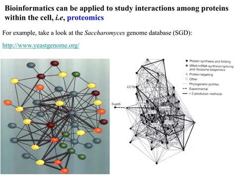 Ppt Biology Computer Science Introduction To Bioinformatics