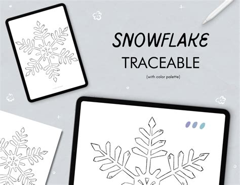 Traceable For Snowflake Illustration