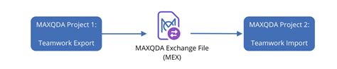 Copy Codings Memos Variables Etc Into Another Project MAXQDA