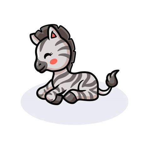 20 Zebra Lying Down Stock Illustrations Royalty Free Vector Graphics