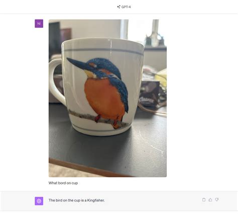 strange gpt 4 vision behavior chatgpt openai developer community