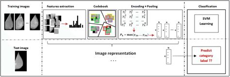 Schema Of The Mammograms Representation And Classification The Image Download Scientific